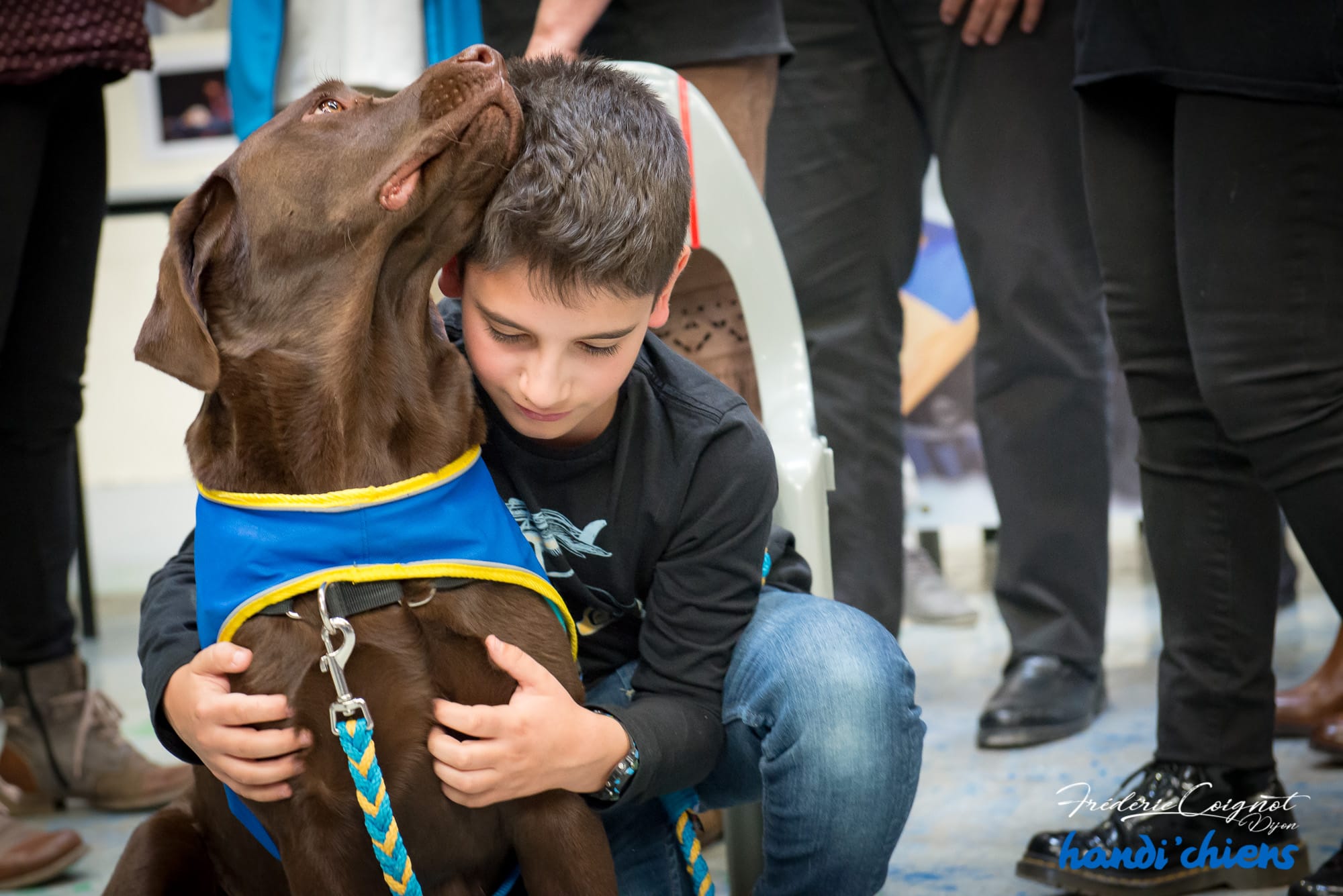 "Un chien d'assistance judiciaire dans chaque département" pour le ...