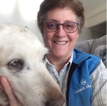 Le Bureau HANDI'CHIENS - HANDICHIENS