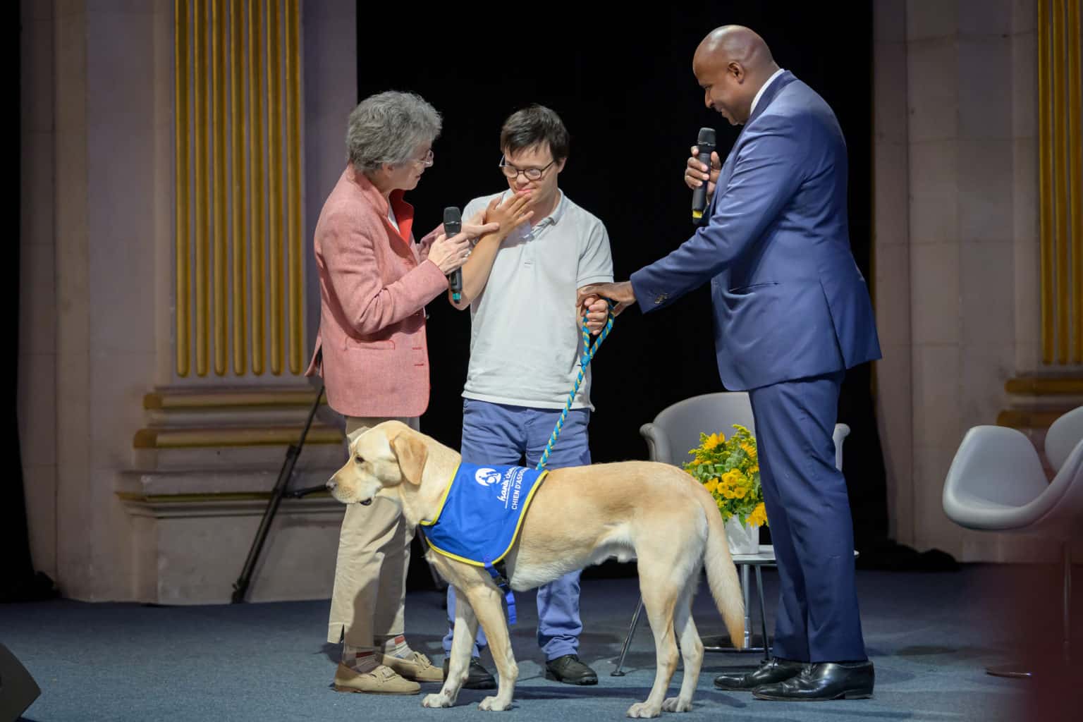 HANDI'CHIENS - Education du chien d'assistance - HANDICHIENS