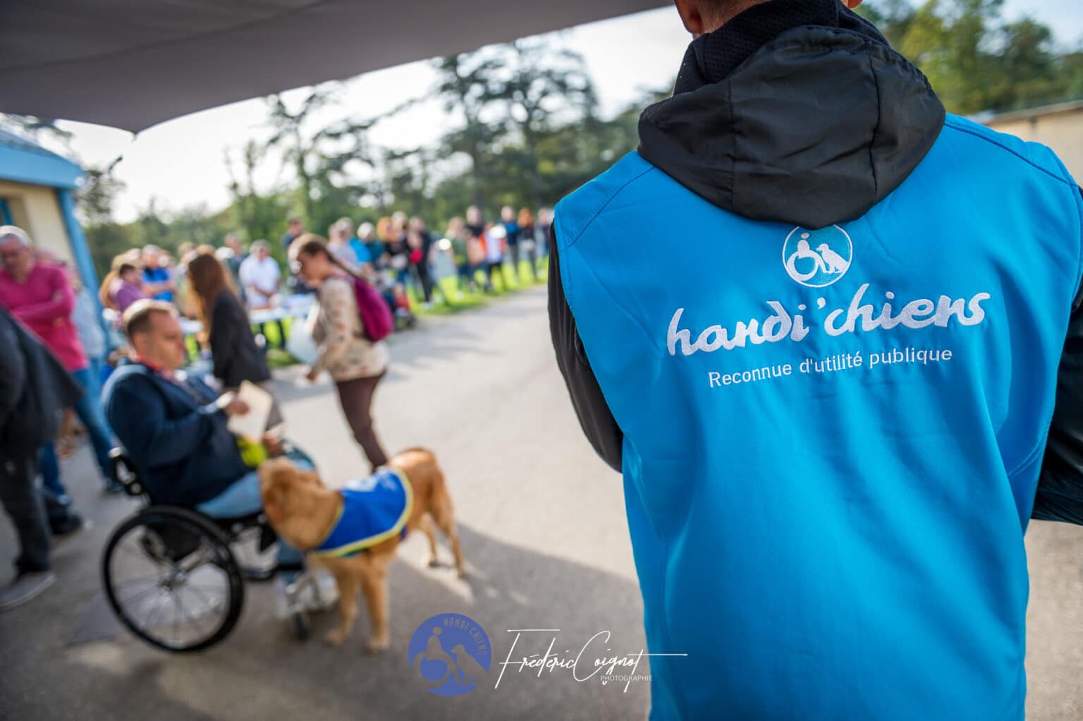 Le Chien d'assistance HANDI'CHIENS - HANDICHIENS