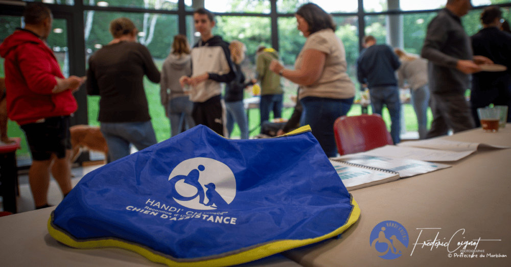 Sensibilisation des équipes du réseau VPLUS aux missions de HANDI'CHIENS