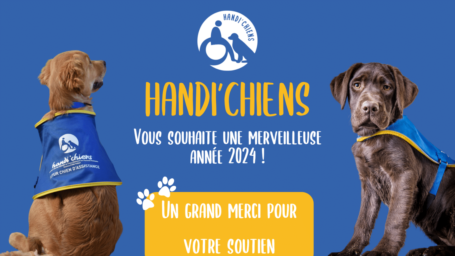 Les Vœux 2024 du président HANDI'CHIENS - HANDICHIENS