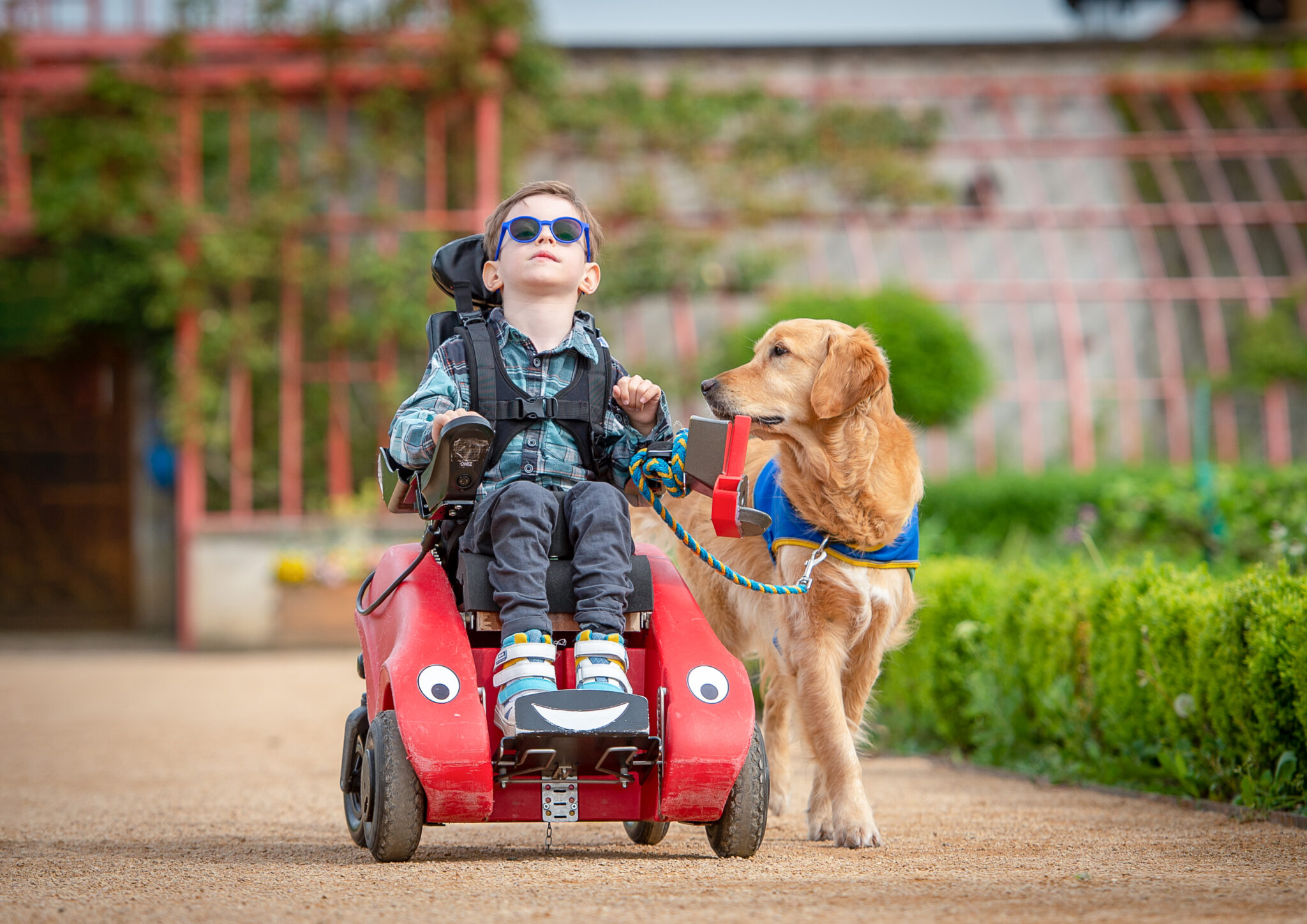 Le Chien d'assistance HANDI'CHIENS - HANDICHIENS