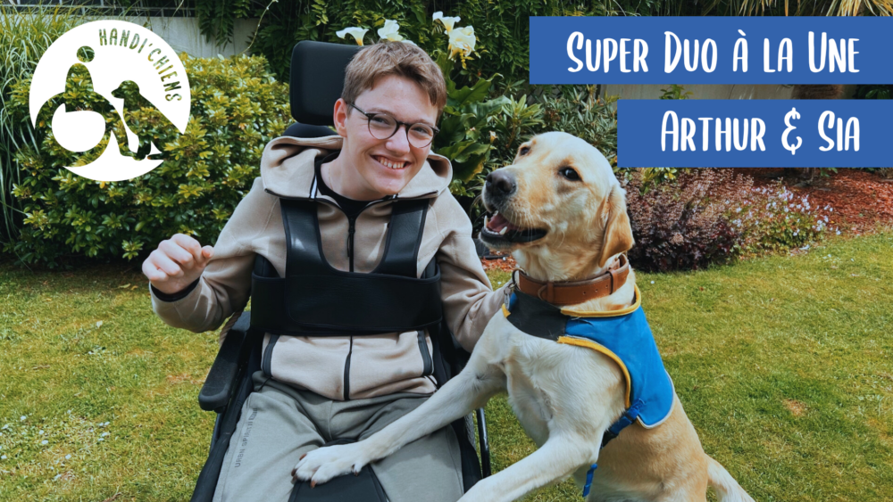 Présentation de l'association HANDI'CHIENS - HANDICHIENS