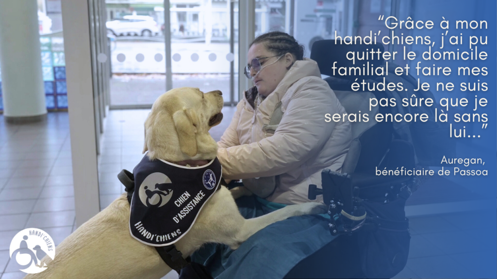 Une première en France : les chiens d’assistance judiciaire HANDI’CHIENS mobilisés pour un ...